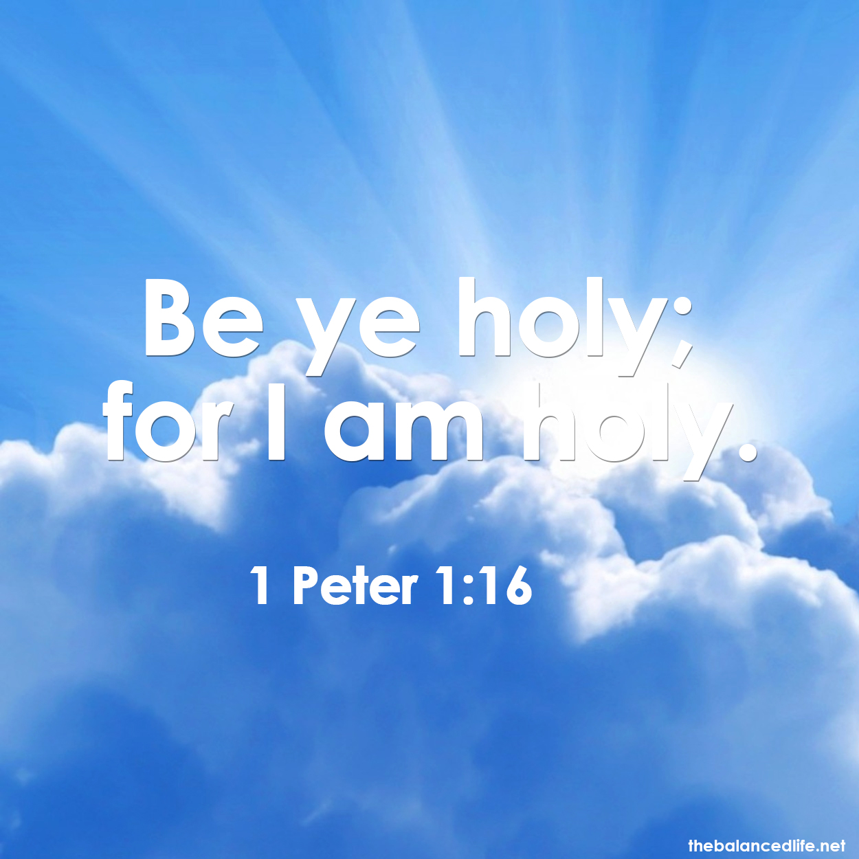 Holy - The Balanced Life: Bible Study and Christian Bible Discussion